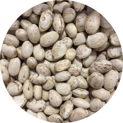 Zaqui - Poroto Coscorron